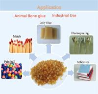 China Light Yellow Powder Industrial Gelatin Powder Less 80 Mesh Lead less 2ppm for sale