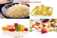 China Odorless Halal Gelatin Powder With Viscosity ≥5.0mpa.S Shelf Life 24 Months for sale