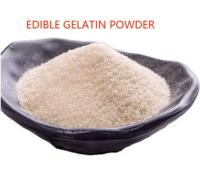 China Odorless Tasteless Food Grade Gelatin Powder 2 Year Shelf Life Iso Certified for sale