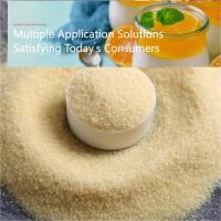 China Haccp Unflavoured Gelatin Powder 25kg/Bag in Food Safety Management System for sale