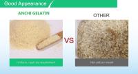 China Neutral Flavor Bone Non Edible Gelatin Technical Powder 25 Kg for sale