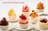 China Ph 4.5-5.5 Beef Gelatine Powder Food Grade No Taste for sale