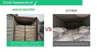China Edible Cattle Gelatin Powder With Ph 6.0-7.0 And Moisture ≤14% for sale