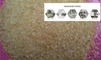 China Odorless Tasteless Cooking Gelatin Powder Keep In Cool And Dry Place for sale
