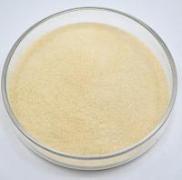 China Packaged Bag Halal Beef Gelatine Storage In Cool And Dry Place for sale