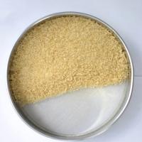China Halal Pharmaceutical Food Grade Gelatin Powder 220 Bloom For Hard Capsules for sale