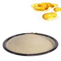 China Cas No 9000 70 8 Bulk Food Grade Gelatin Powder Halal Animal Bovine Odorless for sale