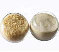 China Food Additive Food Grade Gelatin Powder 250 Bloom Halal for sale