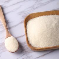 China Adhesive 200-250 Food Grade Gelatin Powder Halal Unflavored 260 for sale
