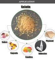 China High Water Resistance Bone Glue Gelatin High Tensile Strength for sale