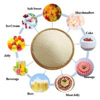 China 140 Bloom Edible Pure Gelatin Halal For Candy Jelly Beverage for sale
