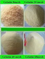 China Culinary Bovine Gelatin Powder For Meat Processing for sale