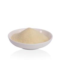 China Wholesale Gelatin Manufacturer Halal Gelatin Powder Food Grade 280 Bloom for sale