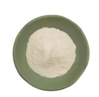 China Halal Food Additives Food Grade Pectin 99% Lm/Hm Citrus Pectin Powder China Manufacturer for sale