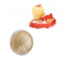 China Halal Food Additives Food Grade Pectin 99% Lm/Hm Citrus Pectin Powder China Manufacturer for sale