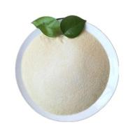 China Food Grade Gelatin Powder Hydrolysate Halal Price for sale