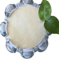 China Food Grade Gelatin Powder Hydrolysate Halal Price for sale