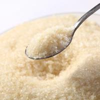 China Manufacturer Price Food Grade 250 Bloom Halal Gelatin Powder for sale