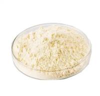 China High Quality 300 Bloom Gelatin 80g Gelatines Fish Gelatin 300 Bloom for sale