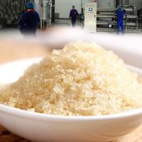 China Food Grade Beef Fish Source Gelatin Tasteless Edible Candy Ice Cream Capsules 180 250 280 Jewish Halal Gelatin Powder for sale