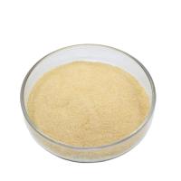 China Wholesale Price Food Grade Gelatine Powder for sale