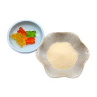 China Wholesale Soft Gelatin Powder Halal Food Grade Softgel Gelatin for Fudge Candy for sale