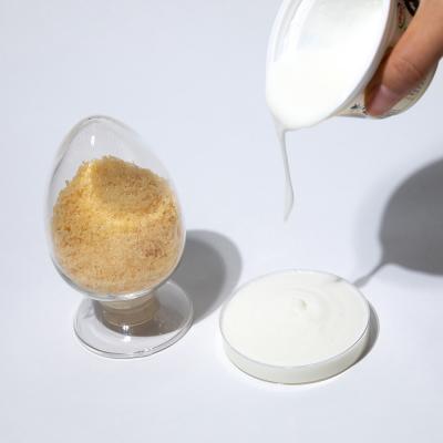 China Pre Gelatinized Starch Food Grade Gelatin Powder Bulk Glue Animal Edible for sale