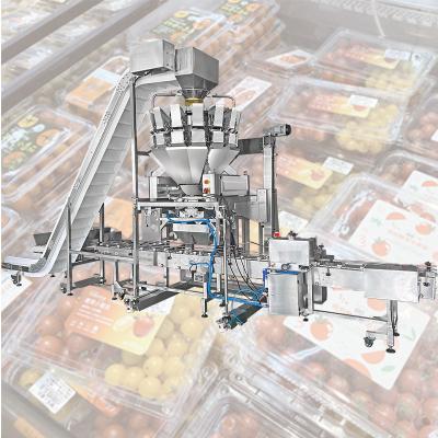 China Cherry Tomato Blueberry Fresh Fruit Multihead Weigher Carton Box Filling Packing Machine for sale
