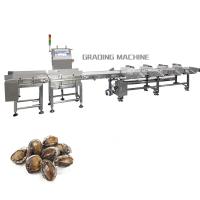 China Industry Automatic Weight Sorting Machine for sale