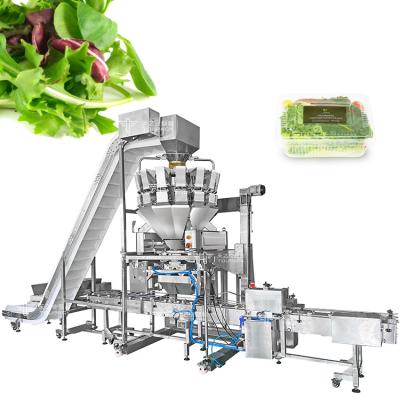China 14 Buckets Fruit And Vegetable Packaging Machine With Multihead Weigher for sale
