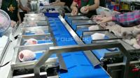 China Pillow Roll Packing Machine Pear Apple Weight Combination Scale Fruit Combination Weigher High Precision Packing Machine for sale