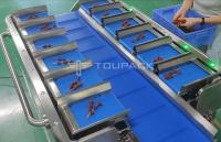 China 12 Head Multihead Weigher for Kebab Weighing Multistation Belt Combination Scale for sale