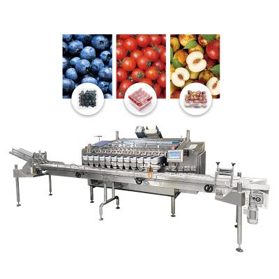 China Fully Automatic Blueberry Clamshell Weighing Filling Packing Machine With Box Dispenser for sale