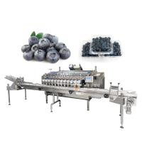 China Automatic Fruit Punnet Packing Machine For Blueberry Strawberry Cherry Tomato for sale