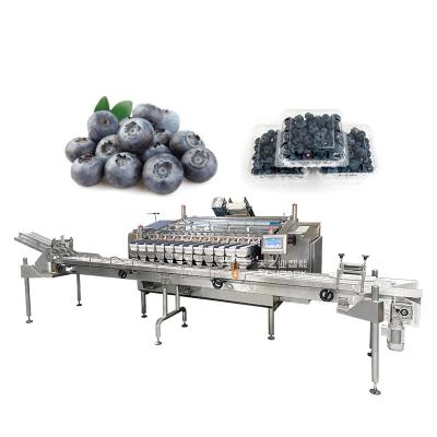 China Automatic Fruit Punnet Packing Machine For Blueberry Strawberry Cherry Tomato for sale