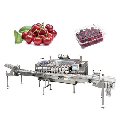China Full Automatic Blueberry Packaging Line With Box Dispenser Filler Capper for sale