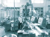 China SUS 304 100L Auto Weighing Filling And Sealing Machine For Food for sale