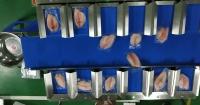 China TOUPACK 12 Head 30WPM Belt Weigher System Conveyor Belt Weigher For Sea Food for sale