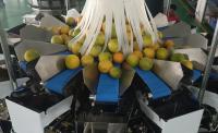 China 14 Head Multihead MCU/PLC Weigher Packing Machine For Weiging Fruits Oranges for sale