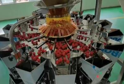 China SUS304 Multihead Weigher Auto Weighing And Packaging System For Cherry Frozen Fruits In Boxes for sale