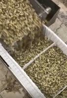 China 800 pcs/h Automatic Cans Filling Machine For Cooked Food for sale
