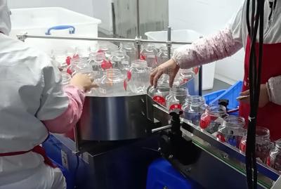 China Customize Made 500 Cans / H Automatic Nuts Filling System for sale