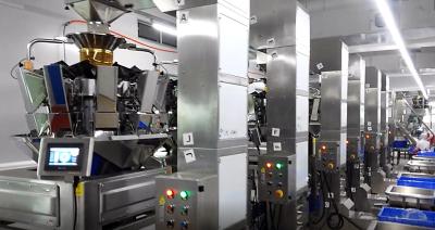 China Stainless Steel Multihead Weigher Packing Machine For Pulses Snacks Seeds 2.5L for sale