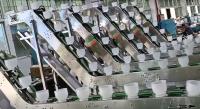 China Stainless Steel 304 60p/M Bowl Conveyor For Granuar Lifting for sale