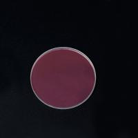 China 24.9*2mm Imported JGS1 Quartz Laser Optical Lens 1064nmAR for sale