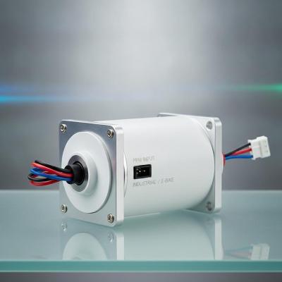 China White BLDC Motor Featuring PPM Input Source Suitable for Industrial Machinery and Electric Bike Applications for sale