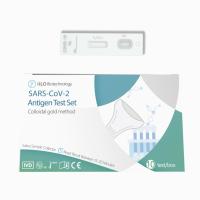 China Sample Collector Antigen Rapid Test Self Test Saliva 10 Test/Box 15-20 Minutes for sale