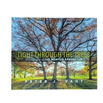 China Light Through The Trees  Full Color Glossy Lamination Coffee Table Book Professional Photo Printing Service for sale
