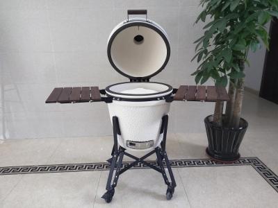 China Stainless Steel Cooking Grates With Ceramic And Ash Tool Accessories for sale