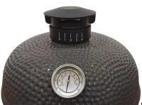 China Adjustable Ventilation System Charcoal Ceramic Grill BBQ for sale
